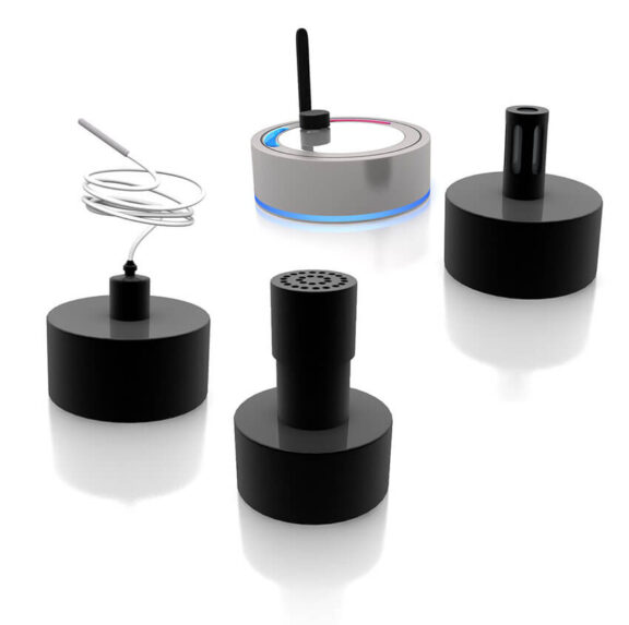 LIVES INTERNATIONAL archivos - Gometrics